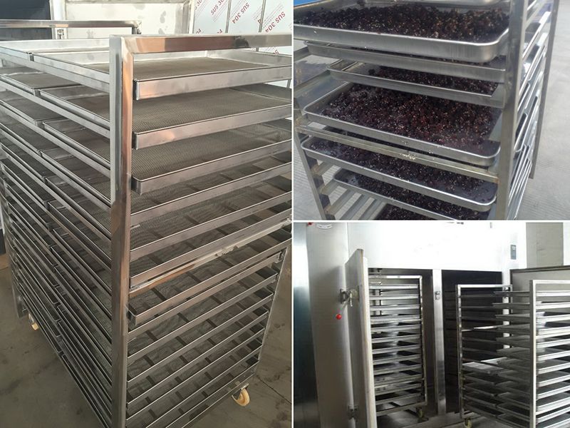 Hot Air Cabinet Tray Dryer - China Loong Food Machine Co., Ltd